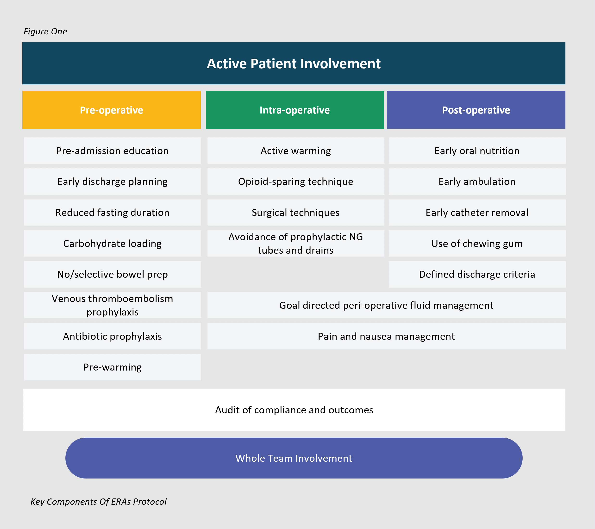 Enhanced Recovery After Surgery (ERAS) Programs in Orthopedics